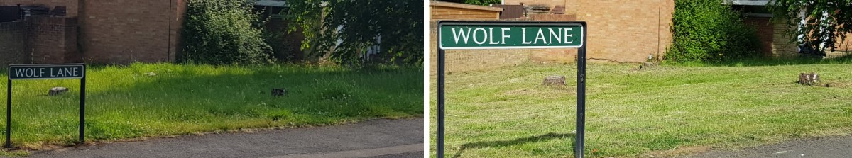 Improving the Green Space around West Windsor – I Love Windsor CIC ...